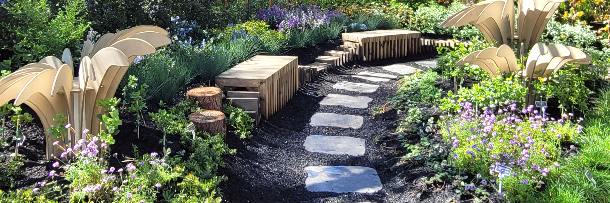 Landscape Architecture Collaborative Projects - Academy of Art University