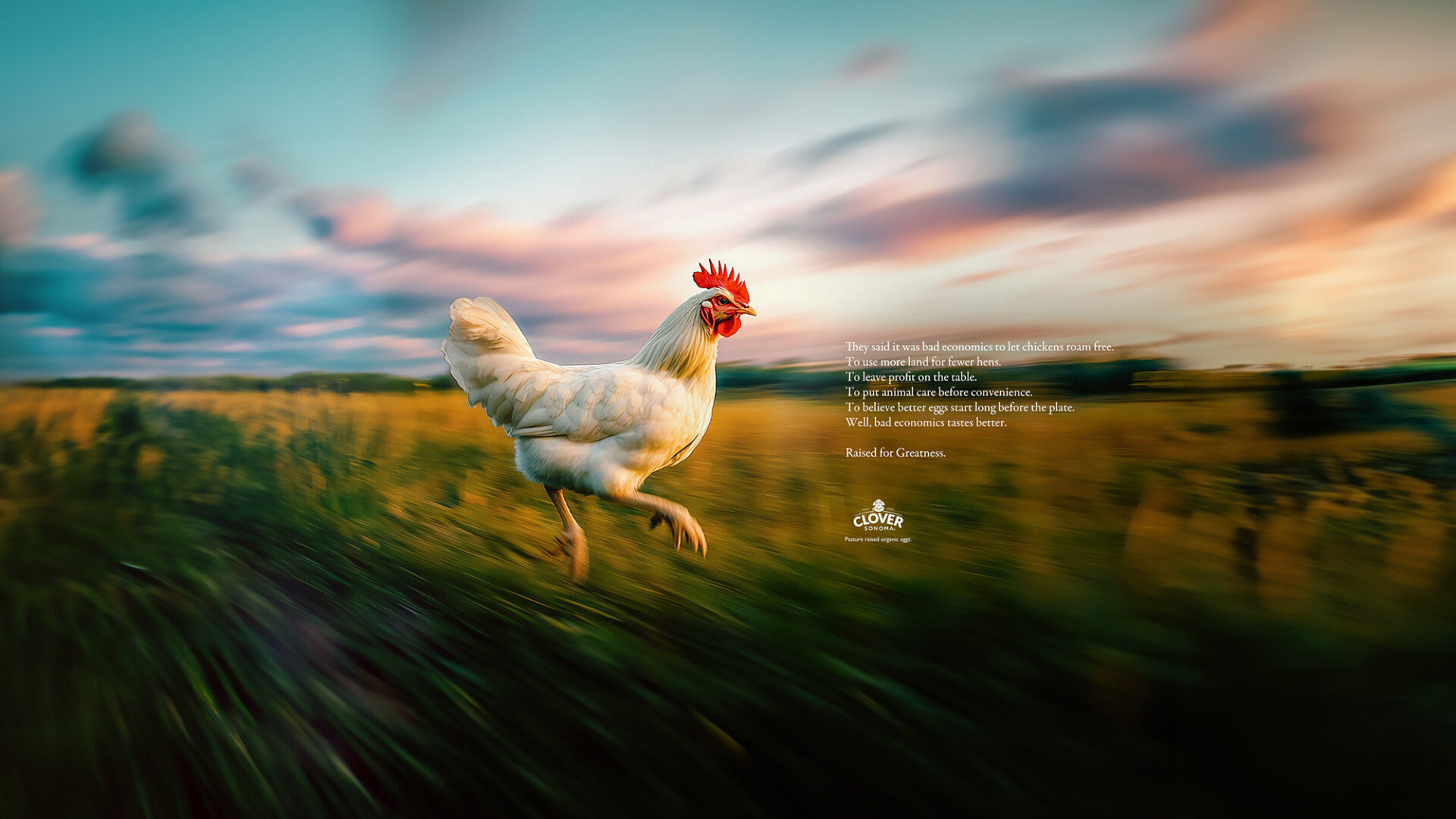 Advertising Degrees - Academy of Art University